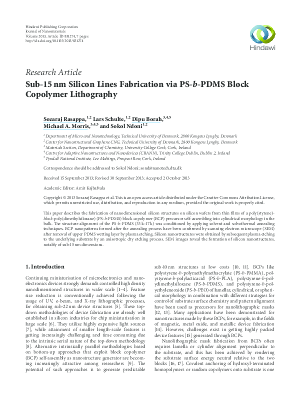 (PDF) Sub-15 nm Silicon Lines Fabrication via PS- b -PDMS Block ...