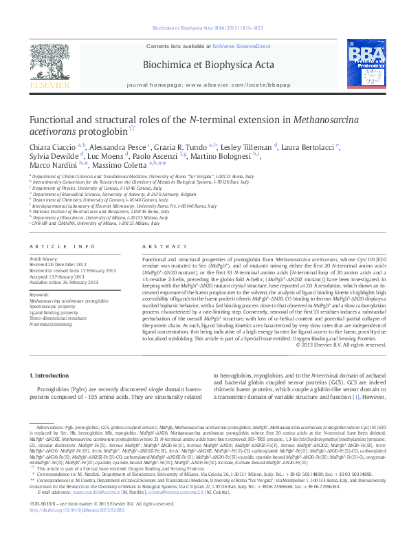 (PDF) Functional and structural roles of the N-terminal extension in ...
