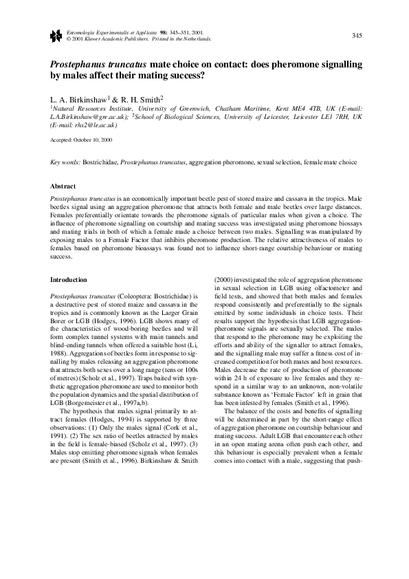(PDF) Prostephanus truncatus mate choice on contact: does pheromone ...