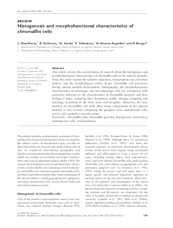 (PDF) Histogenesis and morphofunctional characteristics of chromaffin cells