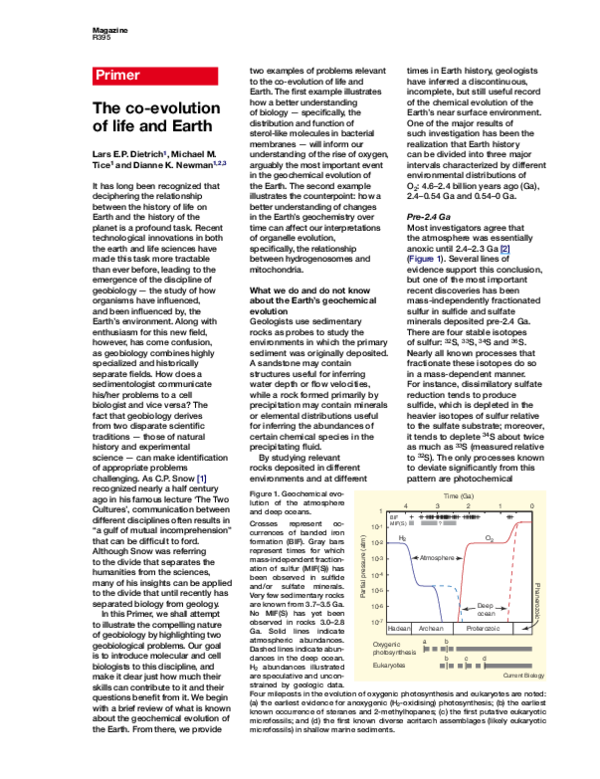 (PDF) The co-evolution of life and Earth