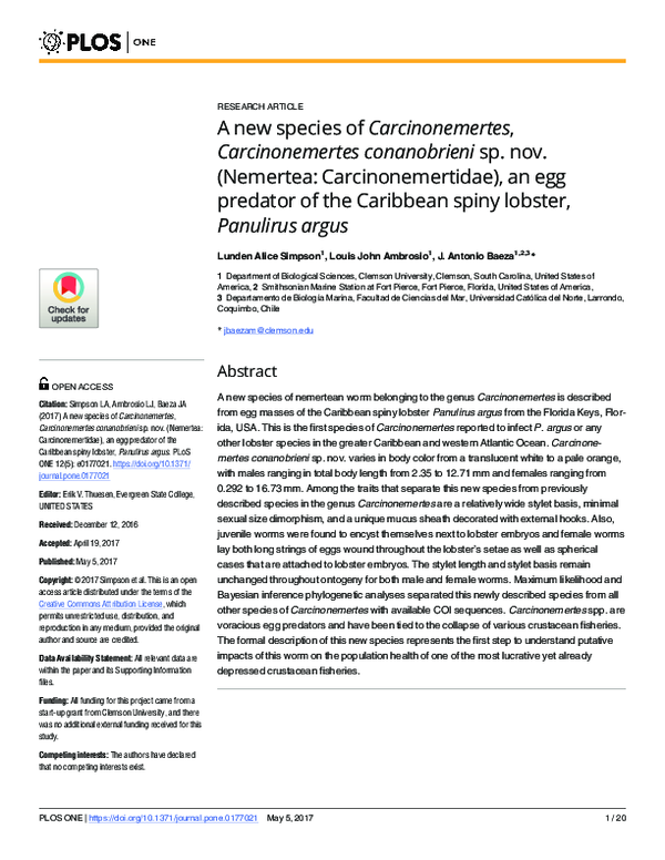 (PDF) A new species of Carcinonemertes, Carcinonemertes conanobrieni sp ...