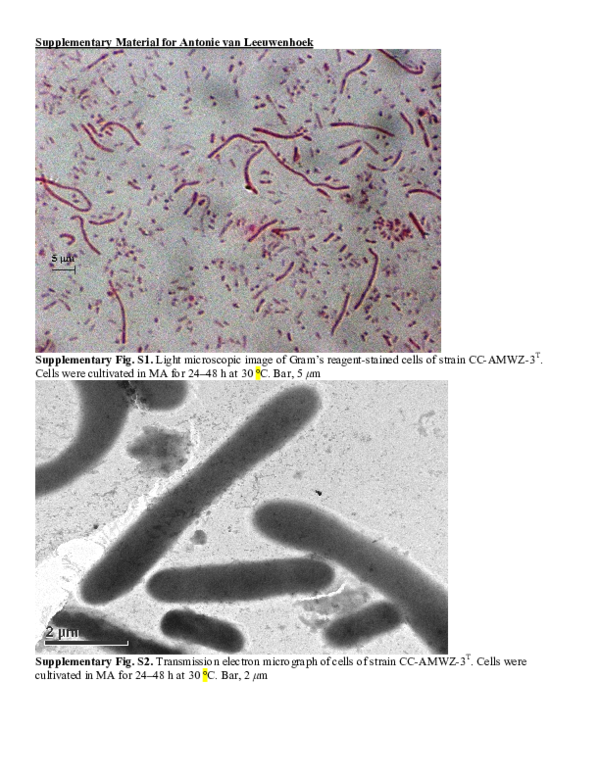 (PDF) Gramella planctonica sp. nov., a zeaxanthin-producing bacterium ...