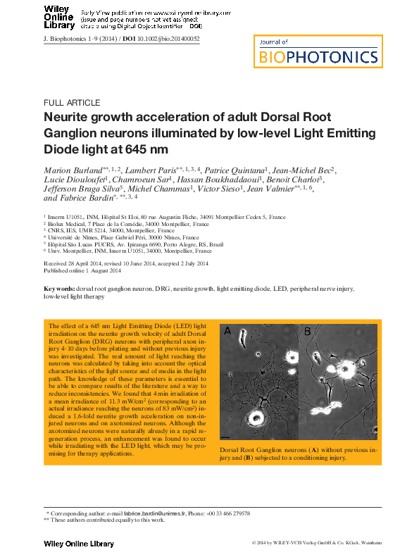 (PDF) Neurite growth acceleration of adult Dorsal Root Ganglion neurons ...