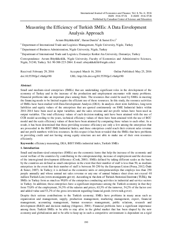 (PDF) Measuring the Efficiency of Turkish SMEs: A Data Envelopment Analysis Approach