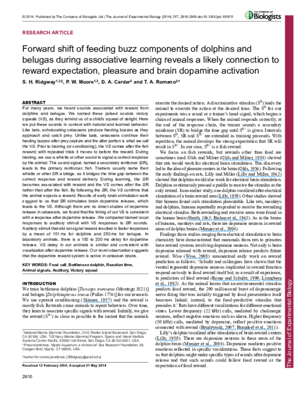 (PDF) Forward shift of feeding buzz components of dolphins and belugas ...