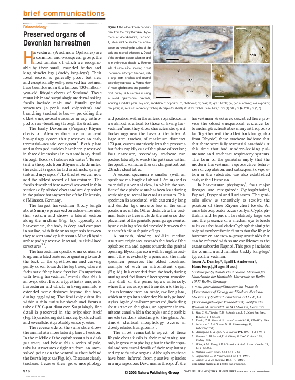 (PDF) Palaeontology: Preserved organs of Devonian harvestmen