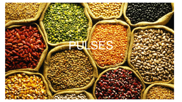 (PPT) Pulses.pptx