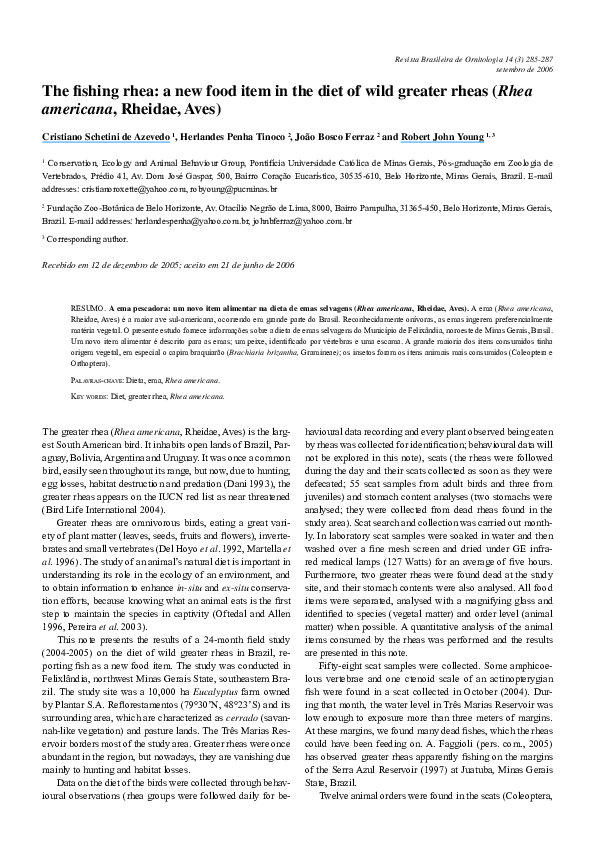 (PDF) The fishing rhea: a new food item in the diet of wild greater ...