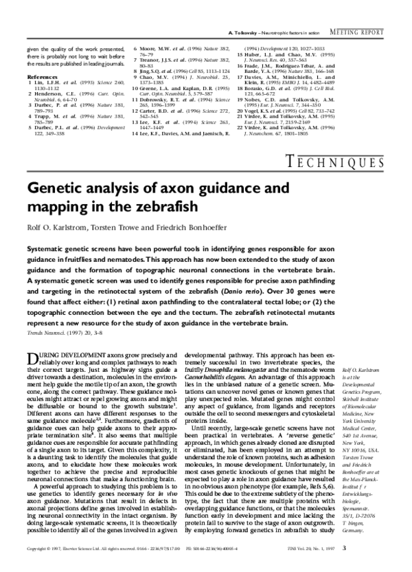 (PDF) Genetic analysis of axon guidance and mapping in the zebrafish