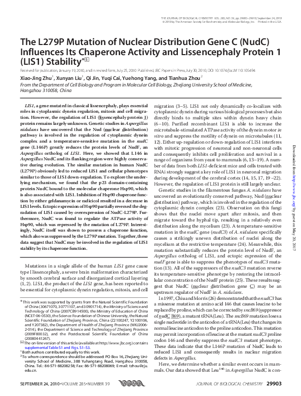 (PDF) The L279P Mutation of Nuclear Distribution Gene C (NudC ...