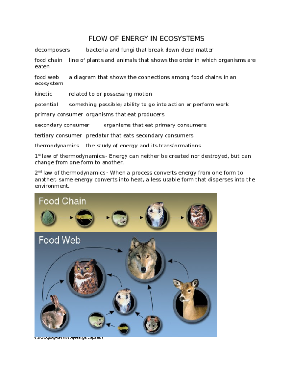 (DOC) FLOW OF ENERGY IN ECOSYSTEMS