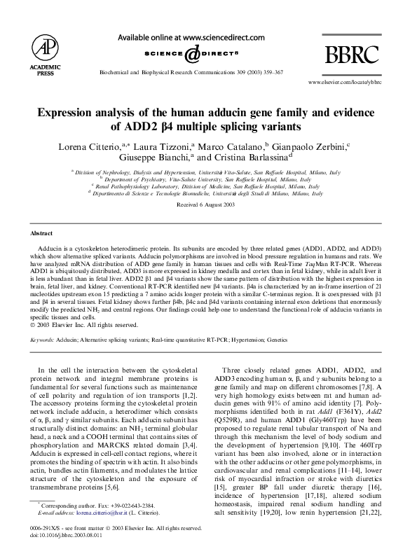 (PDF) Expression analysis of the human adducin gene family and evidence ...