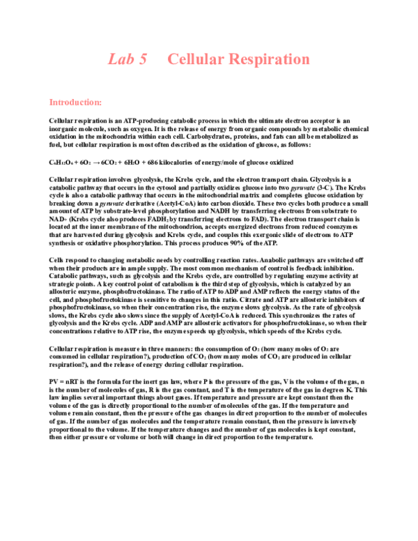 (PDF) Lab 5 Cellular Respiration