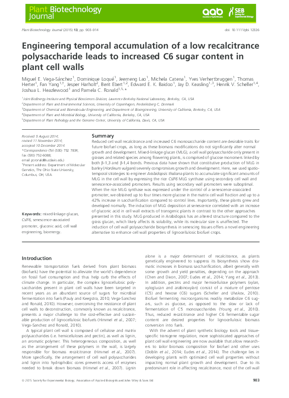 (PDF) Engineering temporal accumulation of a low recalcitrance polysaccharide leads to increased ...