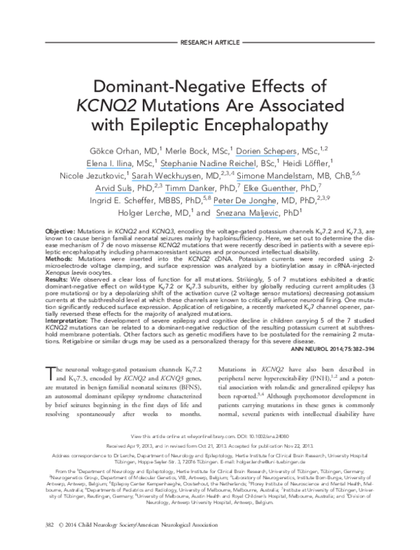 (PDF) Dominant-negative effects of KCNQ2 mutations are associated with ...