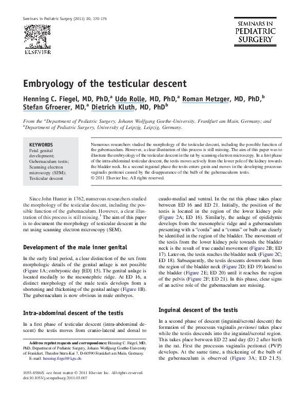 (PDF) Embryology of the testicular descent