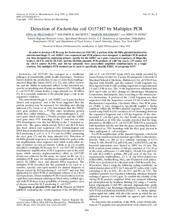 Pdf Isolation And Identification Of Escherichia Coli O157 H7 Using