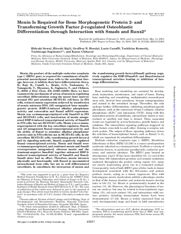 (PDF) Menin is required for bone morphogenetic protein 2- and transforming growth factor beta ...