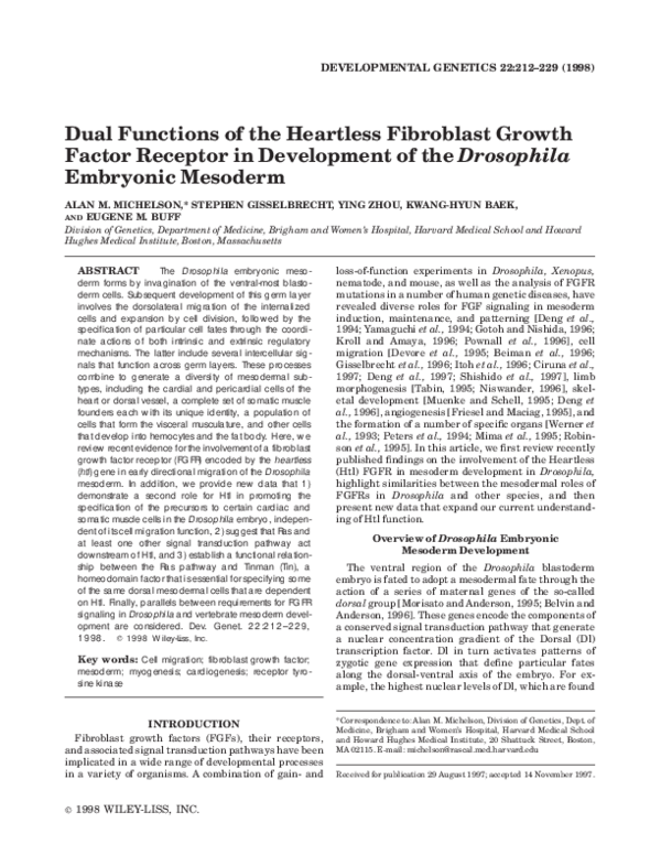 (PDF) Dual functions of the heartless fibroblast growth factor receptor ...