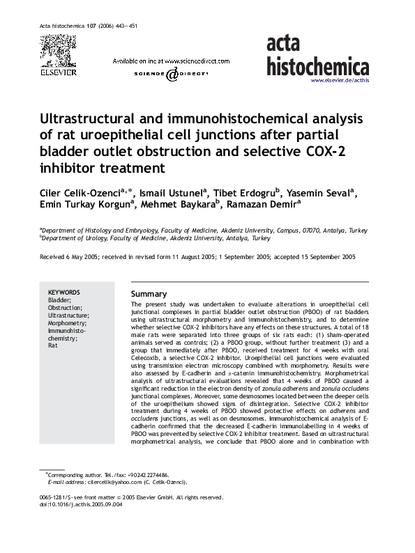 (PDF) Ultrastructural and immunohistochemical analysis of rat ...