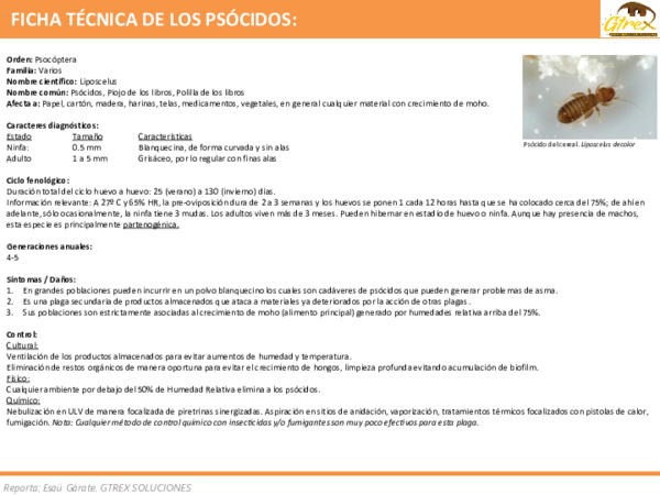 (PDF) FICHA TÉCNICA PSÓCIDOS
