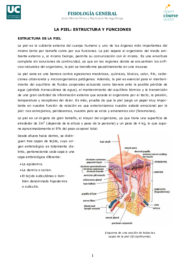 (PDF) FISIOLOGÍA GENERAL LA PIEL: ESTRUCTURA Y FUNCIONES