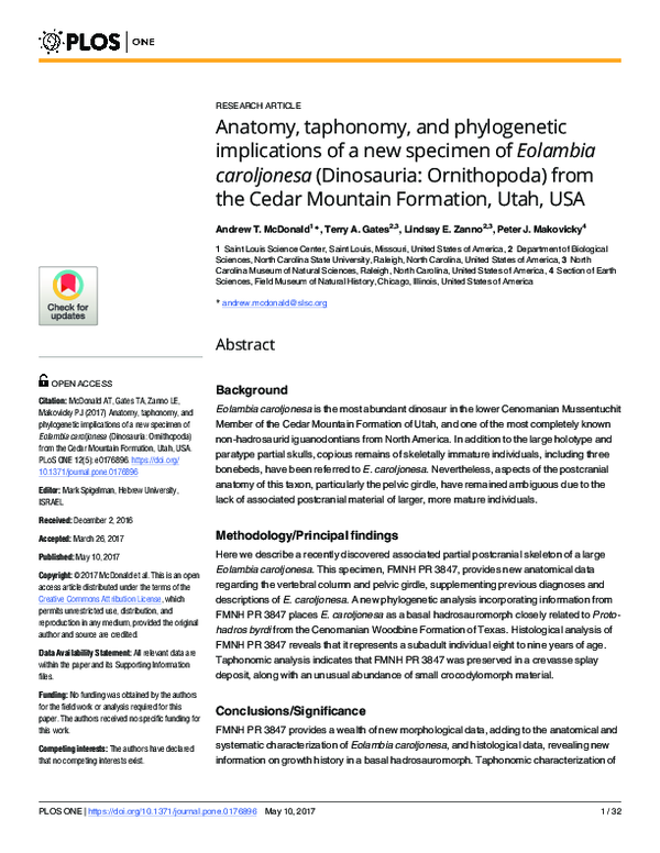 (PDF) Anatomy, taphonomy, and phylogenetic implications of a new ...