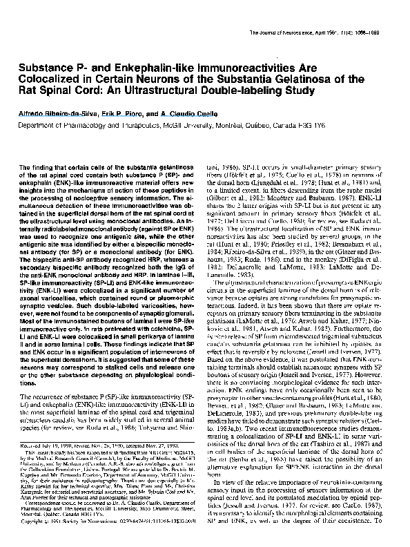 (PDF) Substance P- and enkephalin-like immunoreactivities are ...