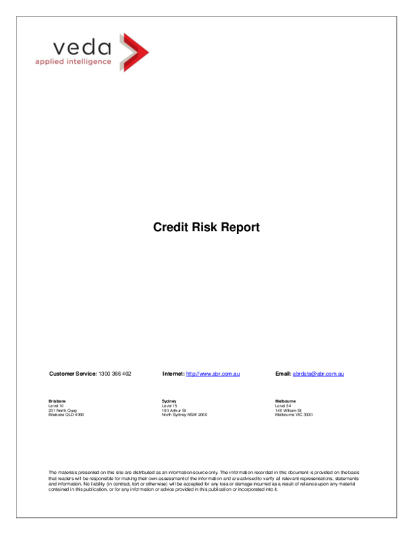 (PDF) Credit Risk Report