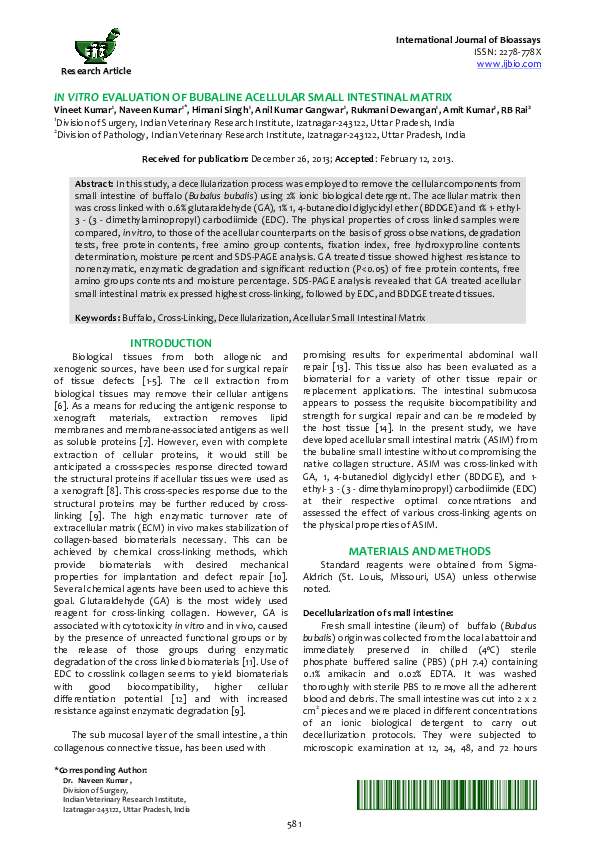 (PDF) In vitro evaluation of Bubaline acellular small intestinal matrix