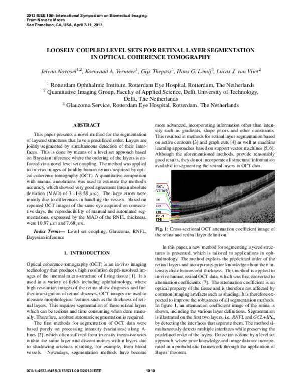 (PDF) Loosely coupled level sets for retinal layers and drusen segmentation in subjects with dry ...