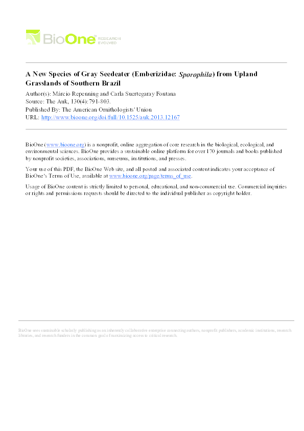 (PDF) A New Species of Gray Seedeater (Emberizidae: Sporophila) from ...