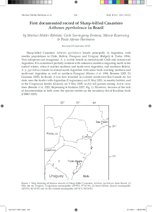 (PDF) First documented record of Sharp-billed Canastero Asthenes ...