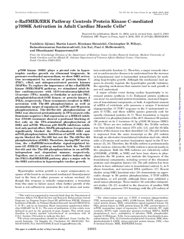 (PDF) c-Raf/MEK/ERK Pathway Controls Protein Kinase C-mediated p70S6K ... (PDF) c-Raf/MEK/ERK Pathway Controls Protein Kinase C-mediated p70S6K ...