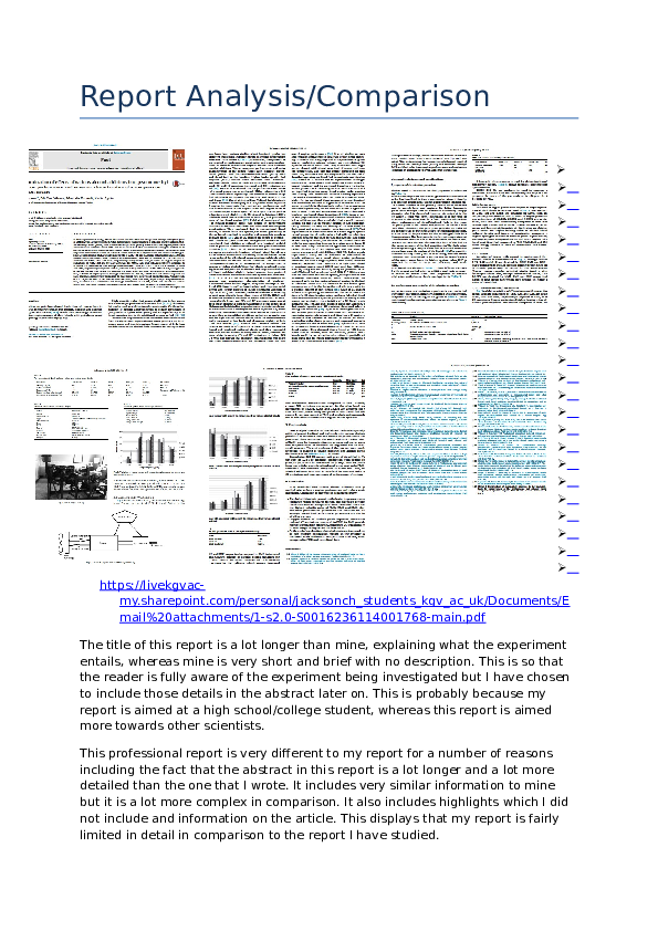 (DOC) Report Analysis