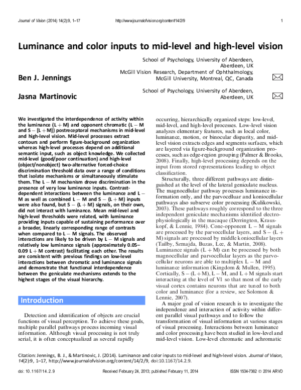 (PDF) Luminance and color inputs to mid-level and high-level vision ...
