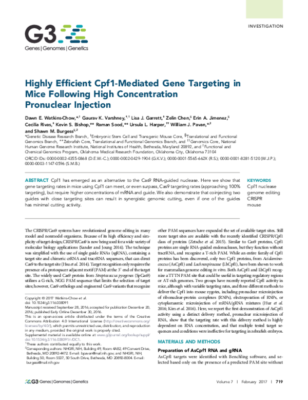 (PDF) Highly Efficient Cpf1-Mediated Gene Targeting in Mice Following ...