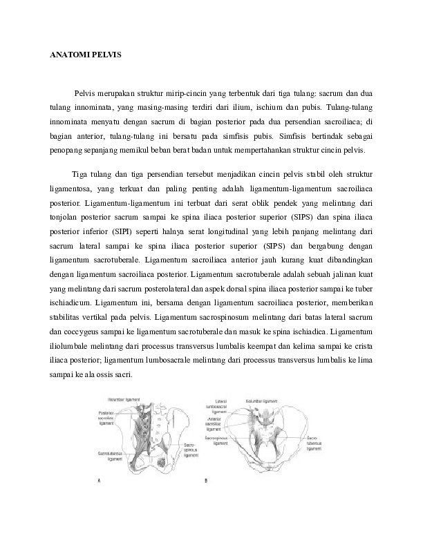 (DOC) ANATOMI PELVIS
