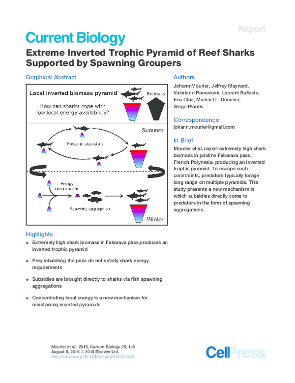 (PDF) Extreme Inverted Trophic Pyramid of Reef Sharks Supported by ...
