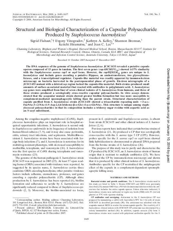 (PDF) Structural and Biological Characterization of a Capsular ...