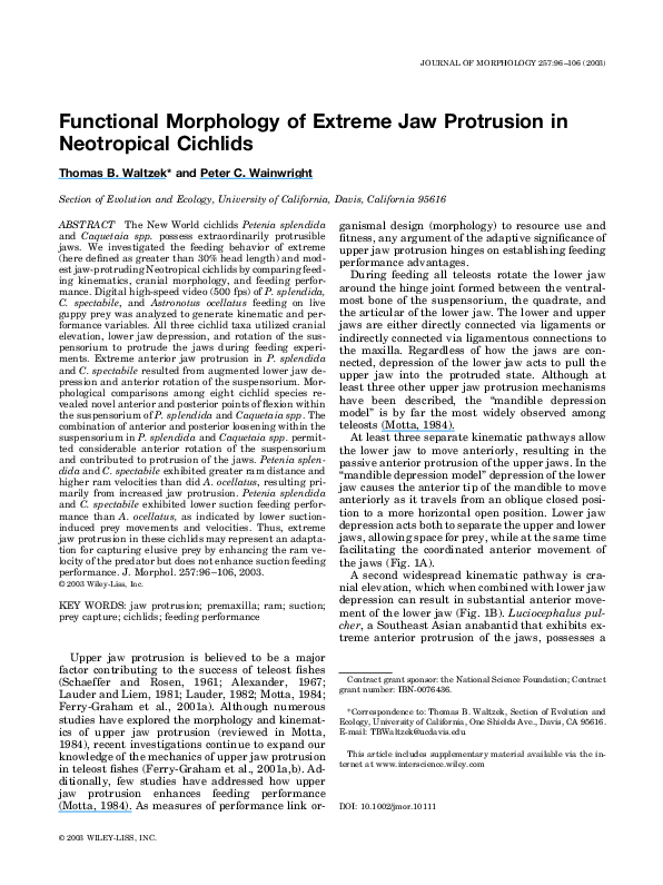 (PDF) Functional morphology of extreme jaw protrusion in Neotropical ...