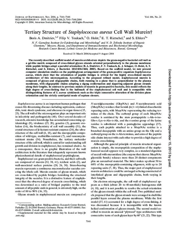 (PDF) Tertiary Structure of Staphylococcus aureus Cell Wall Murein