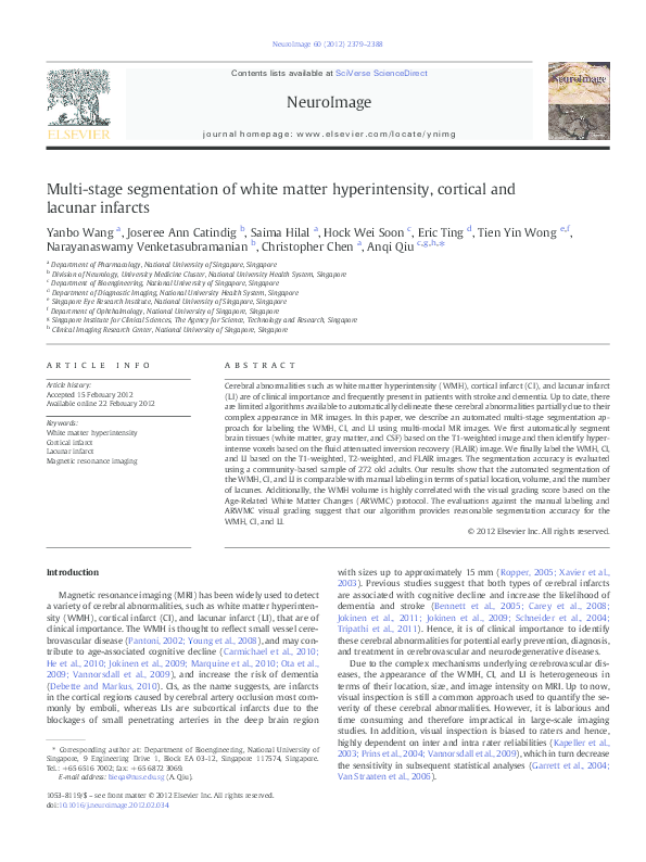 (PDF) Multi-stage segmentation of white matter hyperintensity, cortical and lacunar infarcts