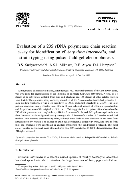 (PDF) Evaluation of a 23S rDNA polymerase chain reaction assay for ...