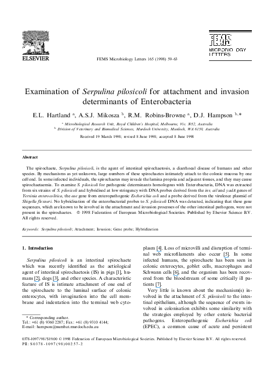 (PDF) Examination of Serpulina pilosicoli for attachment and invasion ...