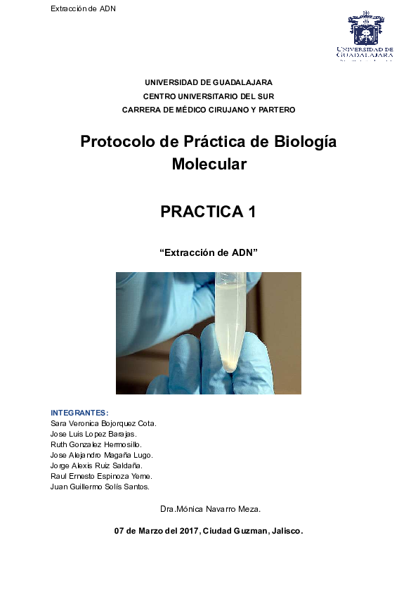 (PDF) Extracción de ADN UNIVERSIDAD DE GUADALAJARA CENTRO UNIVERSITARIO DEL SUR CARRERA DE ...