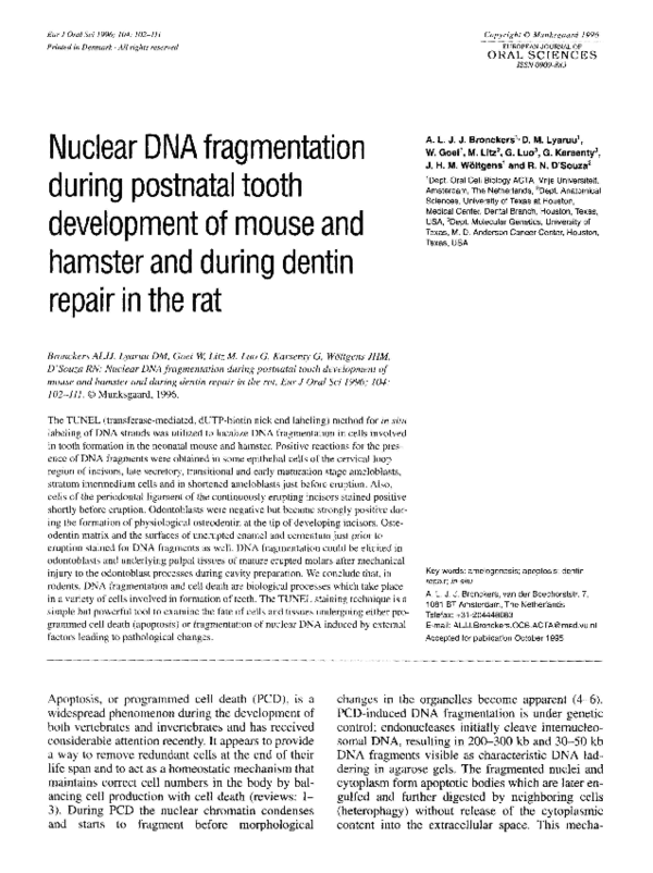 (PDF) Nuclear DNA fragmentation during postnatal tooth development of ...