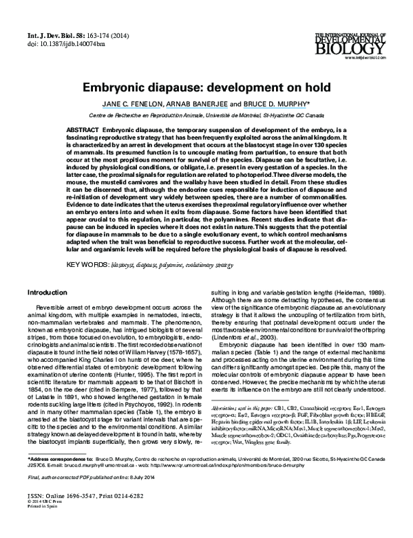 (PDF) Embryonic diapause: development on hold