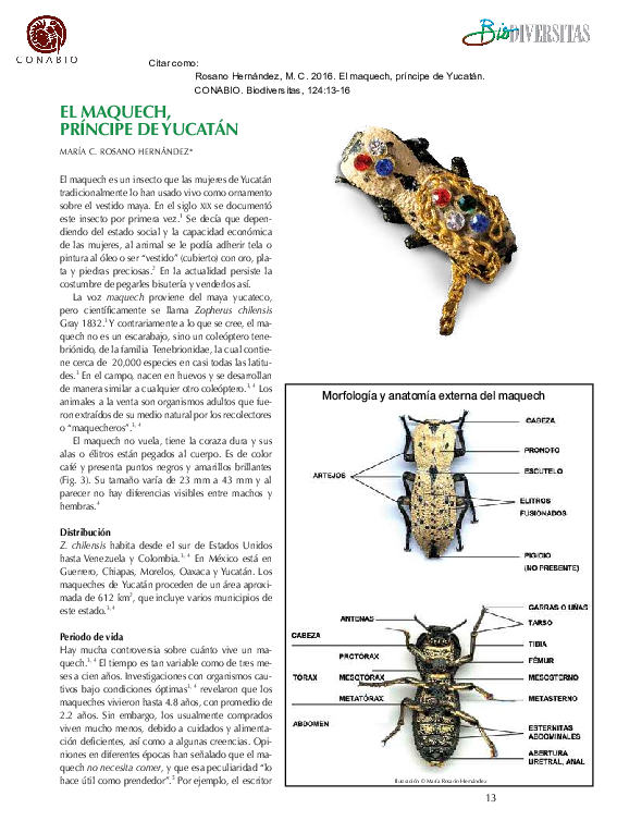 (PDF) MAQUECH PRINCE